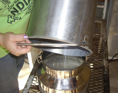 Homestead Revival: Learning to Milk Dairy Goats