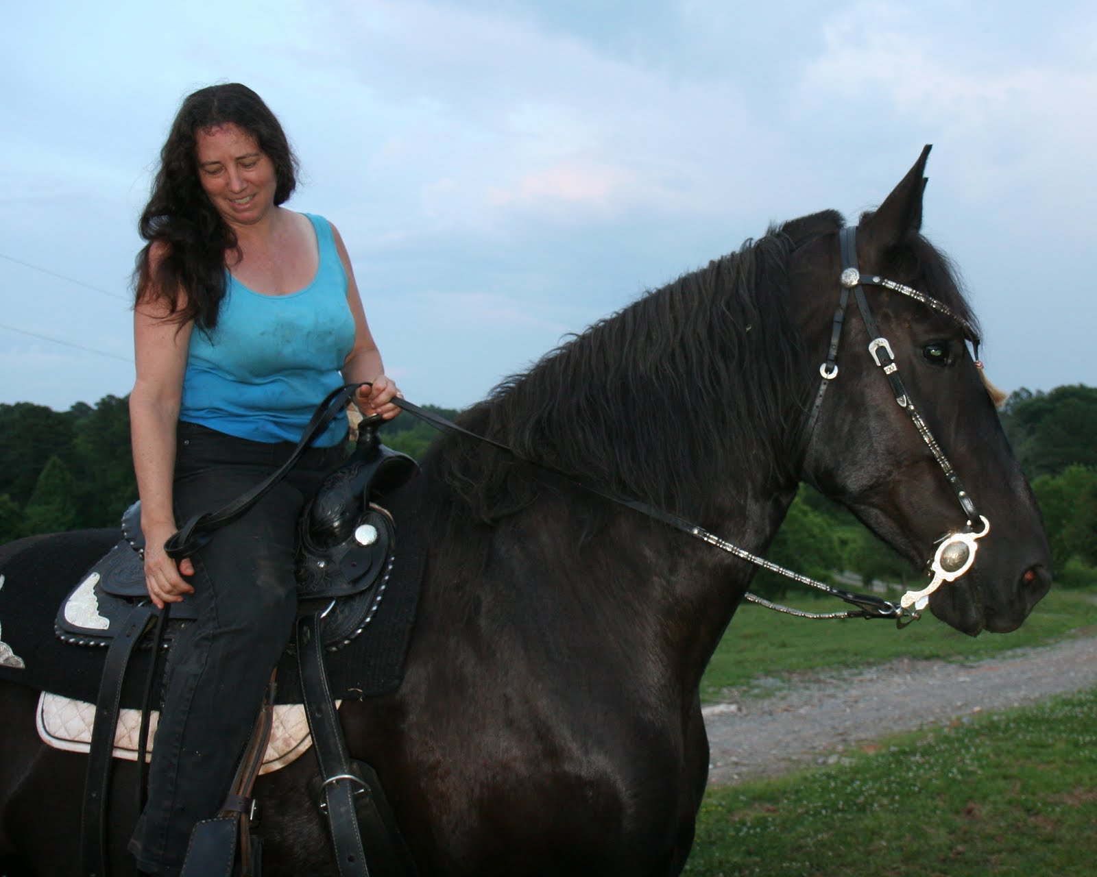 Cielo Azure Percherons: World Percheron Congress