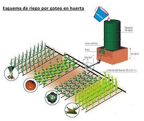 Ing. Ivan Castellanos: Proyecto sistema de riego por goteo ...