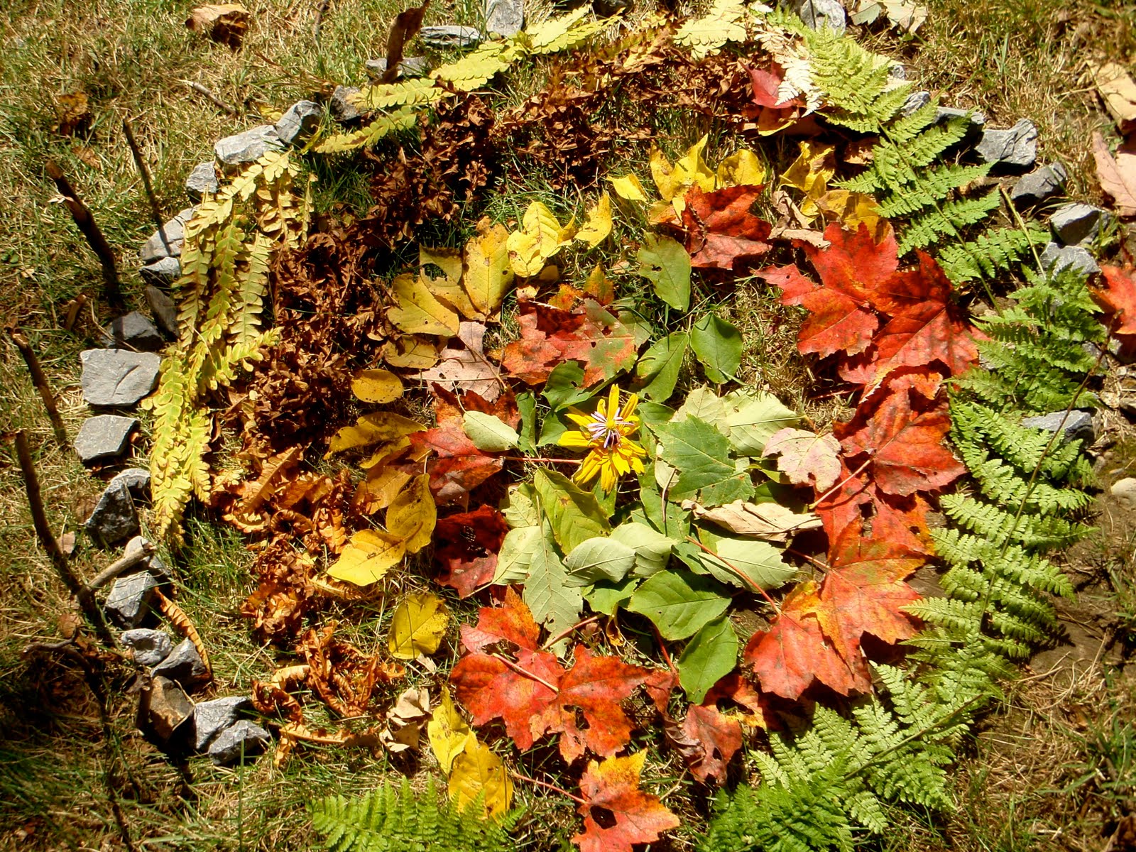 Fayston Elementary Art: Andy Goldsworthy