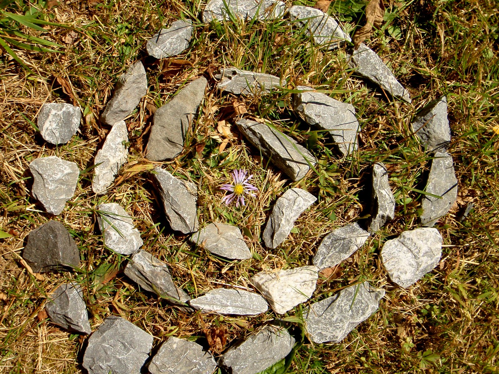 Fayston Elementary Art: Andy Goldsworthy