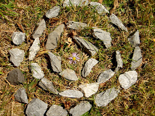 Fayston Elementary Art: Andy Goldsworthy