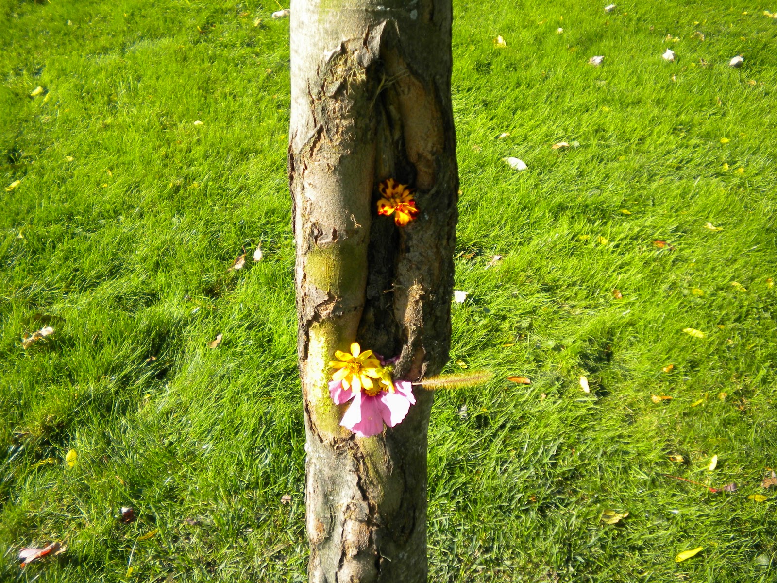 Waitsfield Elementary Art: More Andy Goldsworthy-inspired Nature Art