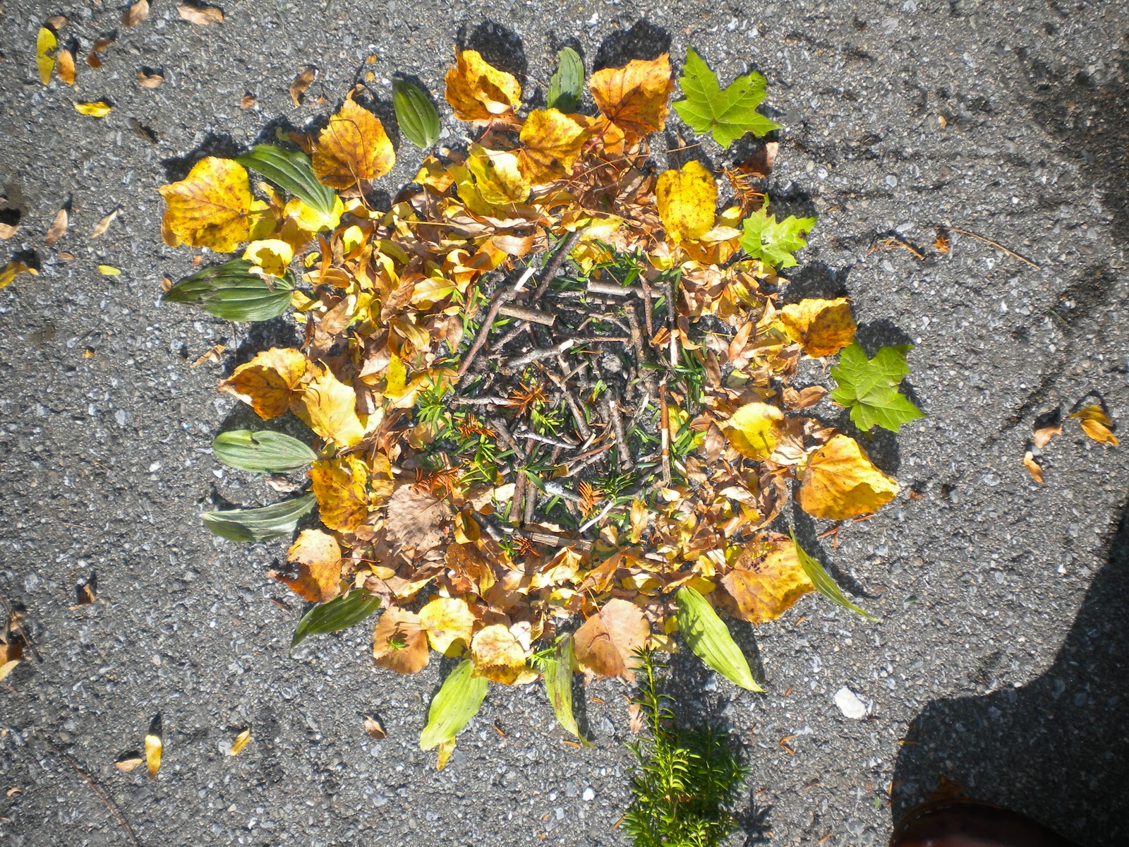 Waitsfield Elementary Art: More Andy Goldsworthy-inspired Nature Art