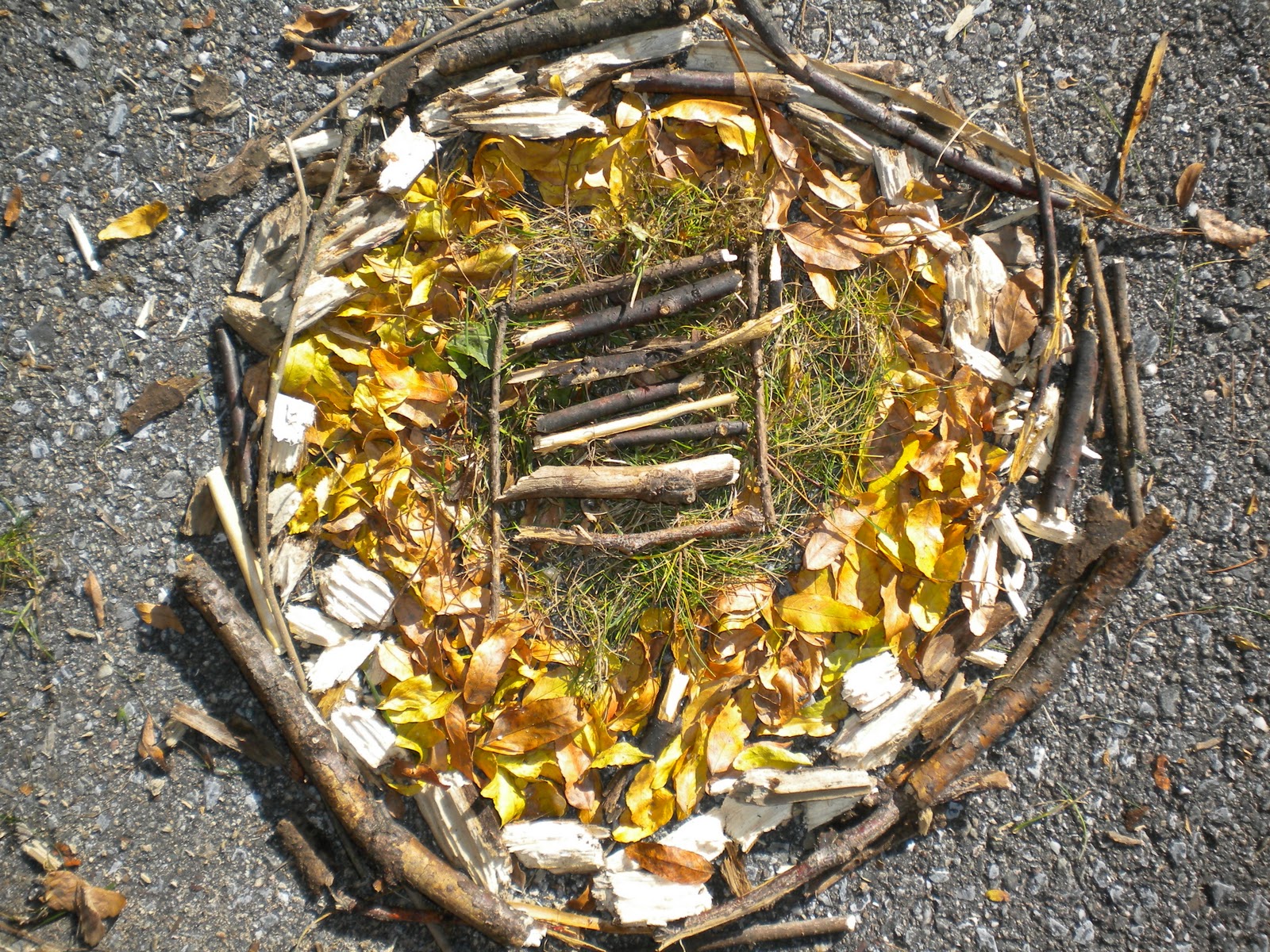 Waitsfield Elementary Art: More Andy Goldsworthy-inspired Nature Art