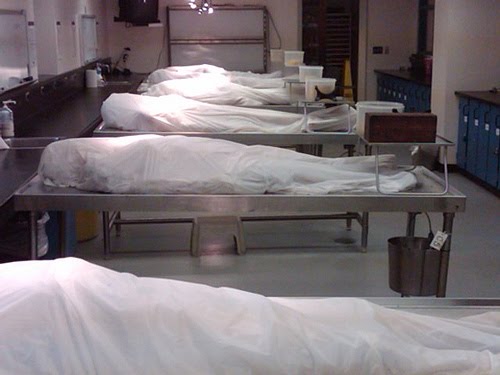 Sherri's Mad Blabber Blog: My First Cadaver Lab Experience