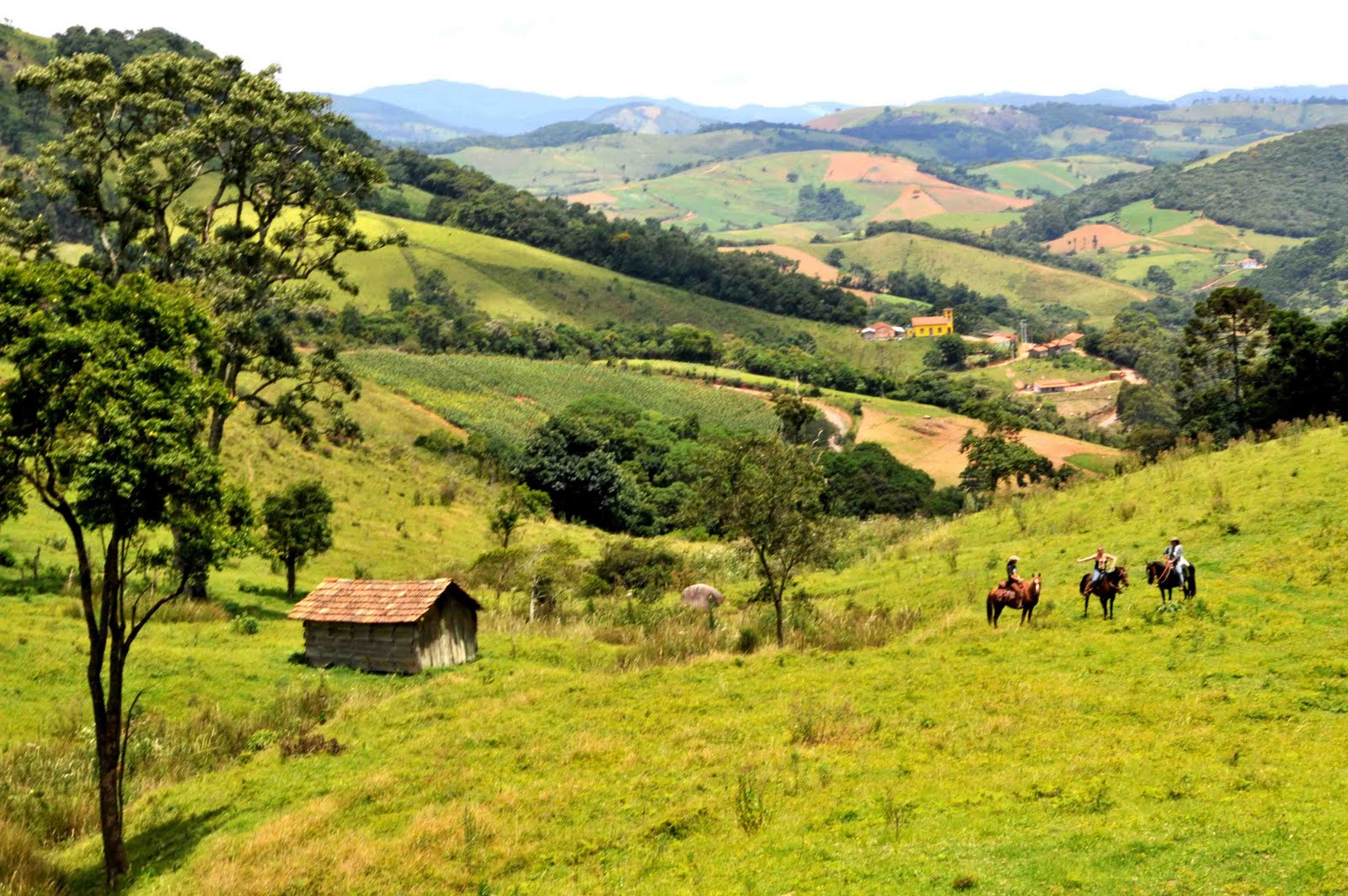 Donizeti: No Rancho Fundo, para lembrar da roça
