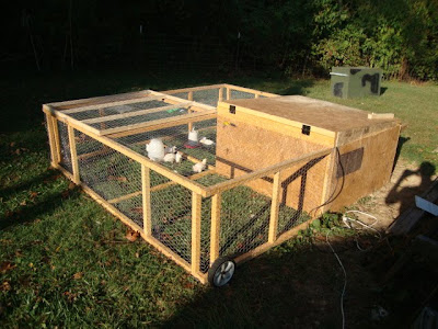 Adventures with Meat Chickens: Broiler Pen!