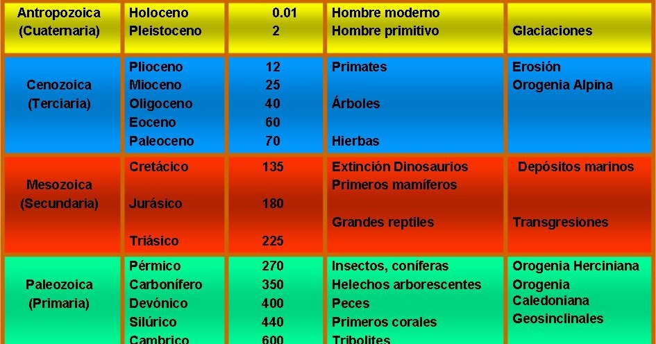 I.E.S. 1º ESO CURSO 2017/2018: El Cenozoico.