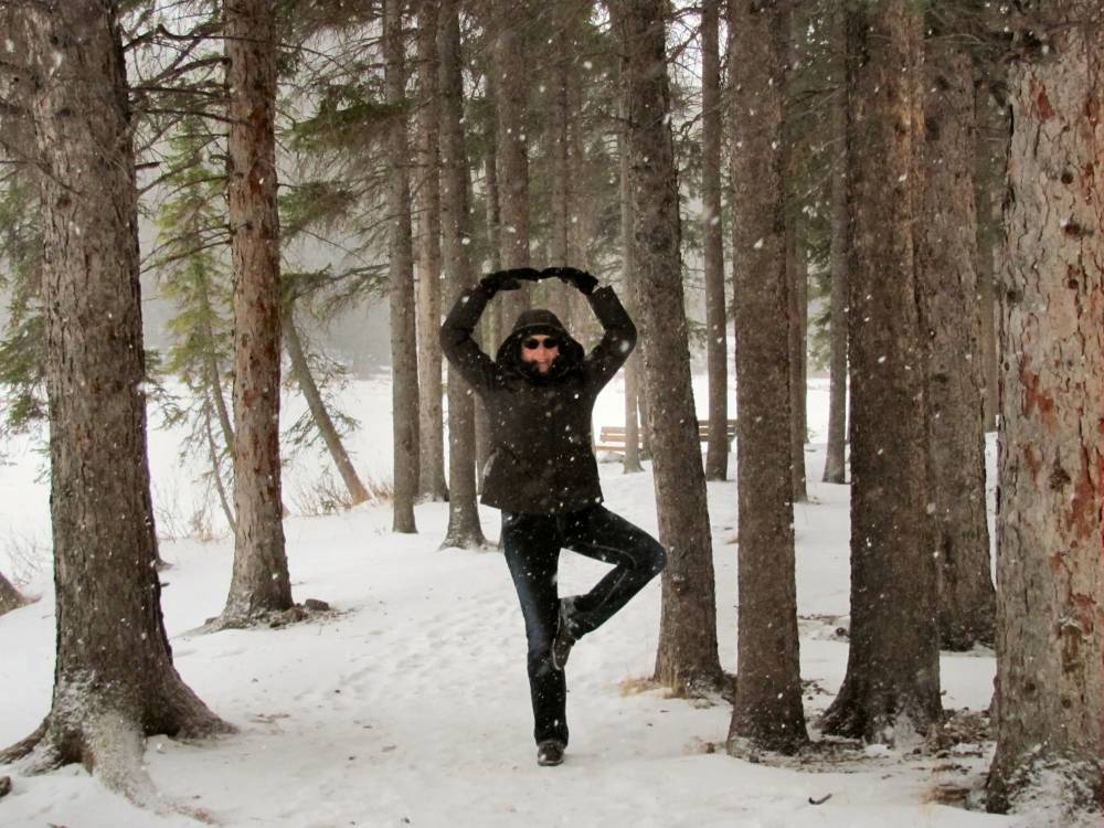 Kim Blair Artist: Tree Painting, Lodge Pole Pines I, by Canadian Artist ...