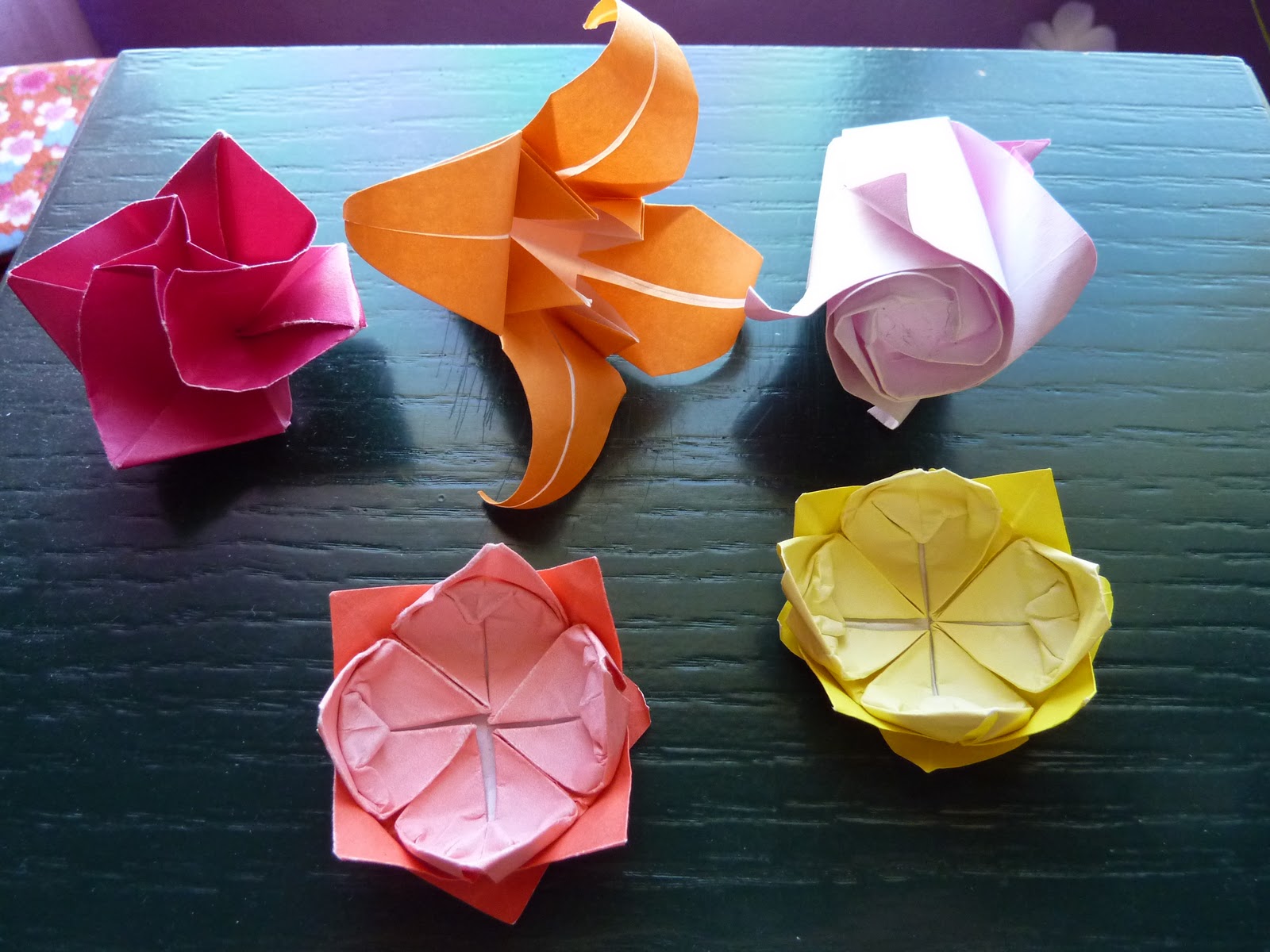 Trace my footsteps: Everything From Papers