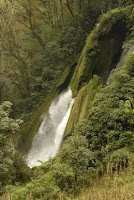 A Journey Through Guatemala: The Biodiversity in the Ixil Triangle