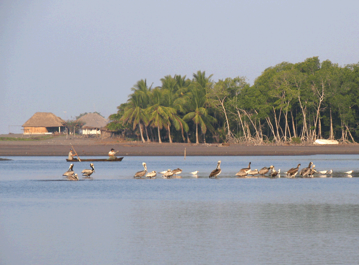 A Journey Through Guatemala: From the Green Mountains to the Pacific ...