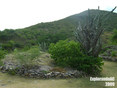 Explorando: Guaytán