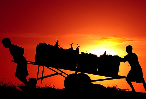 Bekerja dan Berkarya