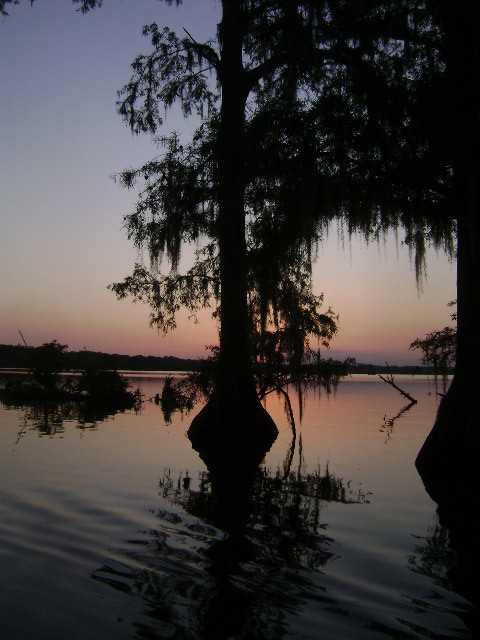 Louisiana Swamp Tours: Louisiana Swamp Tour Sunrise