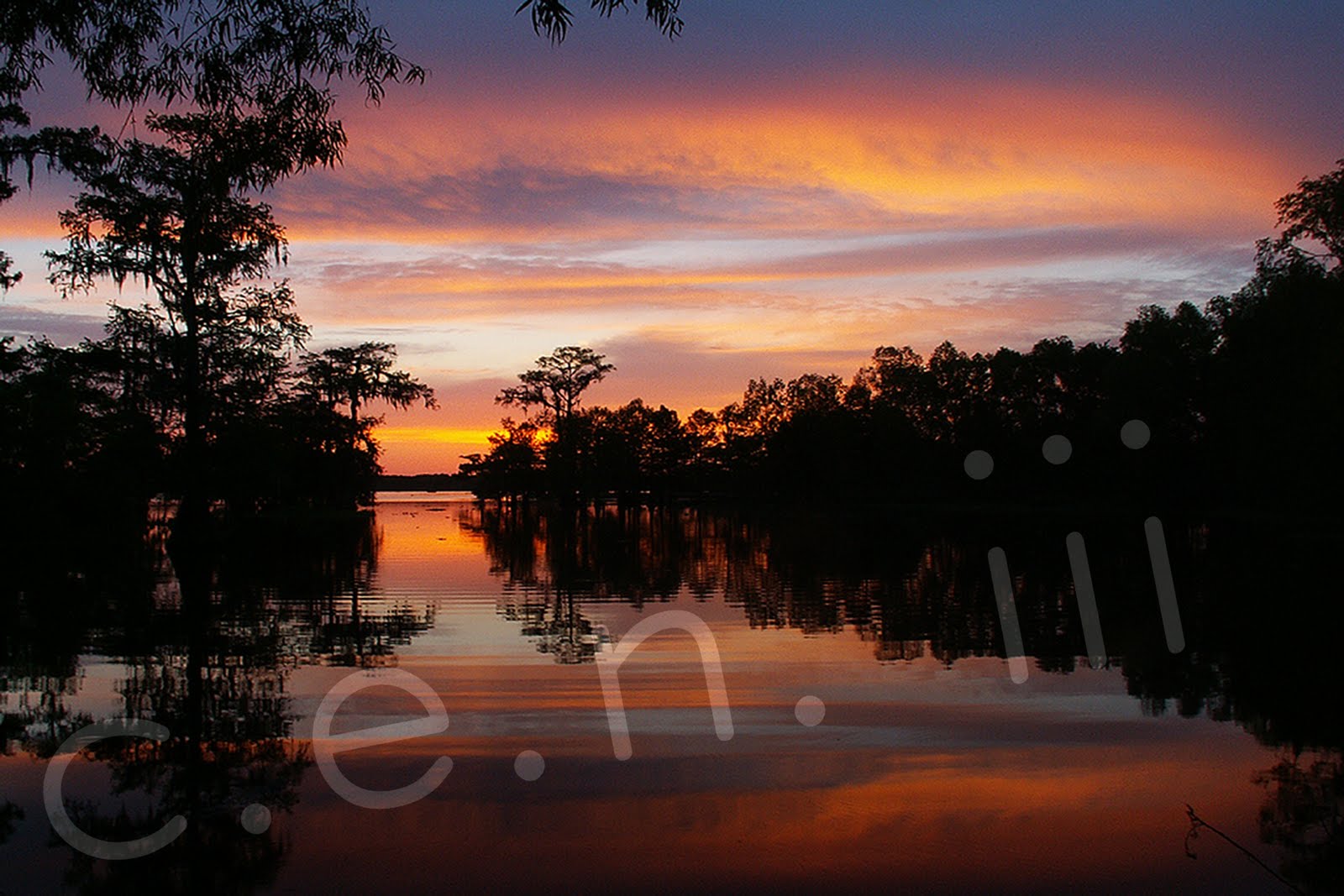 Louisiana Swamp Tours: The Birds Of Lake Martin