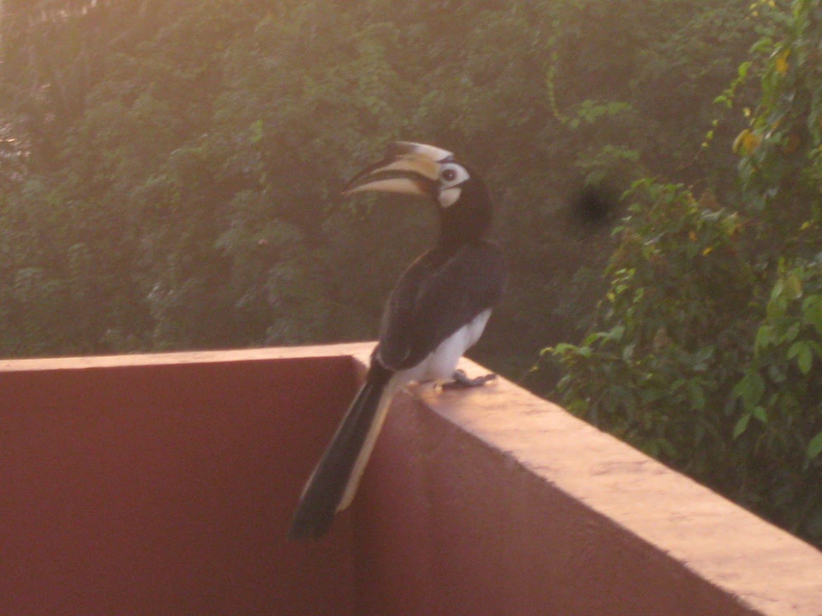 PERPUSTAKAAN MUNSYI ABDULLAH: SMK ELOPURA MENJADI TEMPAT PERSINGGAHAN ...
