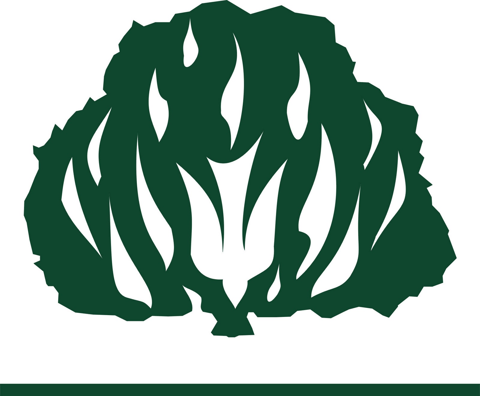 Igreja Presbiteriana de Esperança: POR QUE SOU PRESBITERIANO?