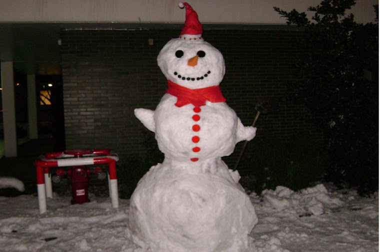 E shift cabot botlek