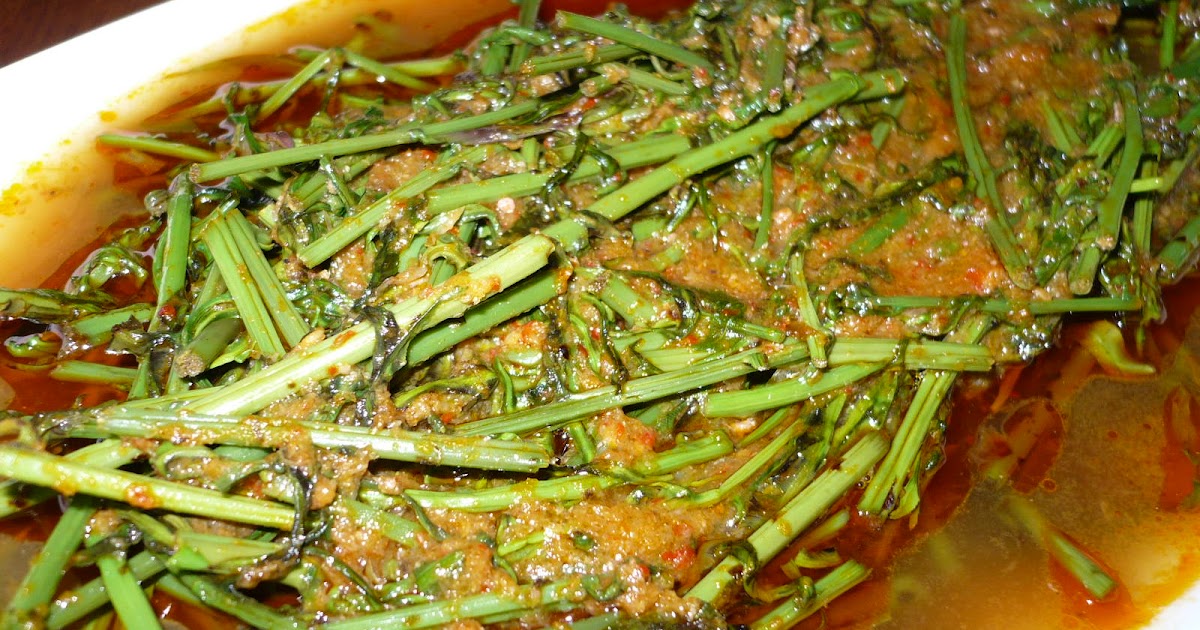 ThE sToRy WiLL NeVeRR End...: Sayur Midin Goreng Belacan