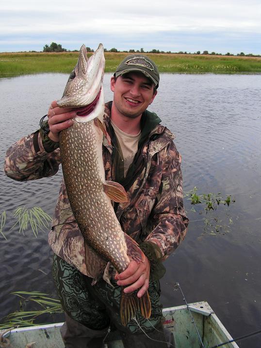 North to the Future. North to the Last Great Frontier.: Minto Flats