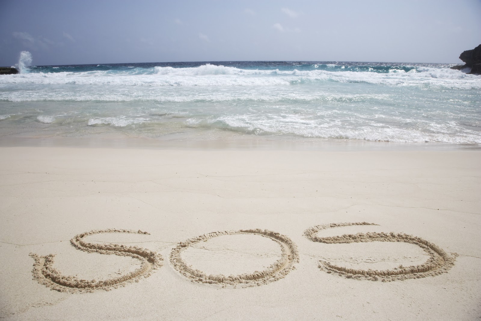 The BB (Blossom's Blog): S.O.S.