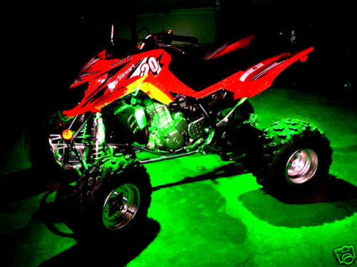 yamaha raptor: yamaha raptor 250 2 stroke