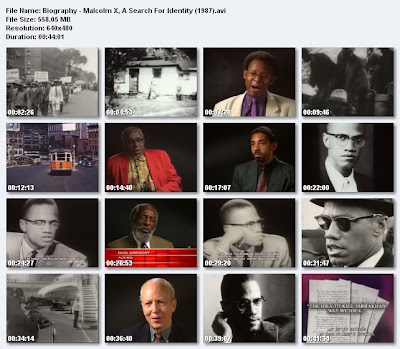 abraxas 365 dokumentarci: A&E Biography - Malcolm X, A Search For ...