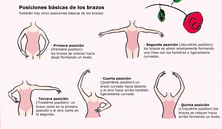 Danza DRN Fanclub: Las 5 posiciones básicas Danza DRN Fanclub: Las 5 posiciones básicas