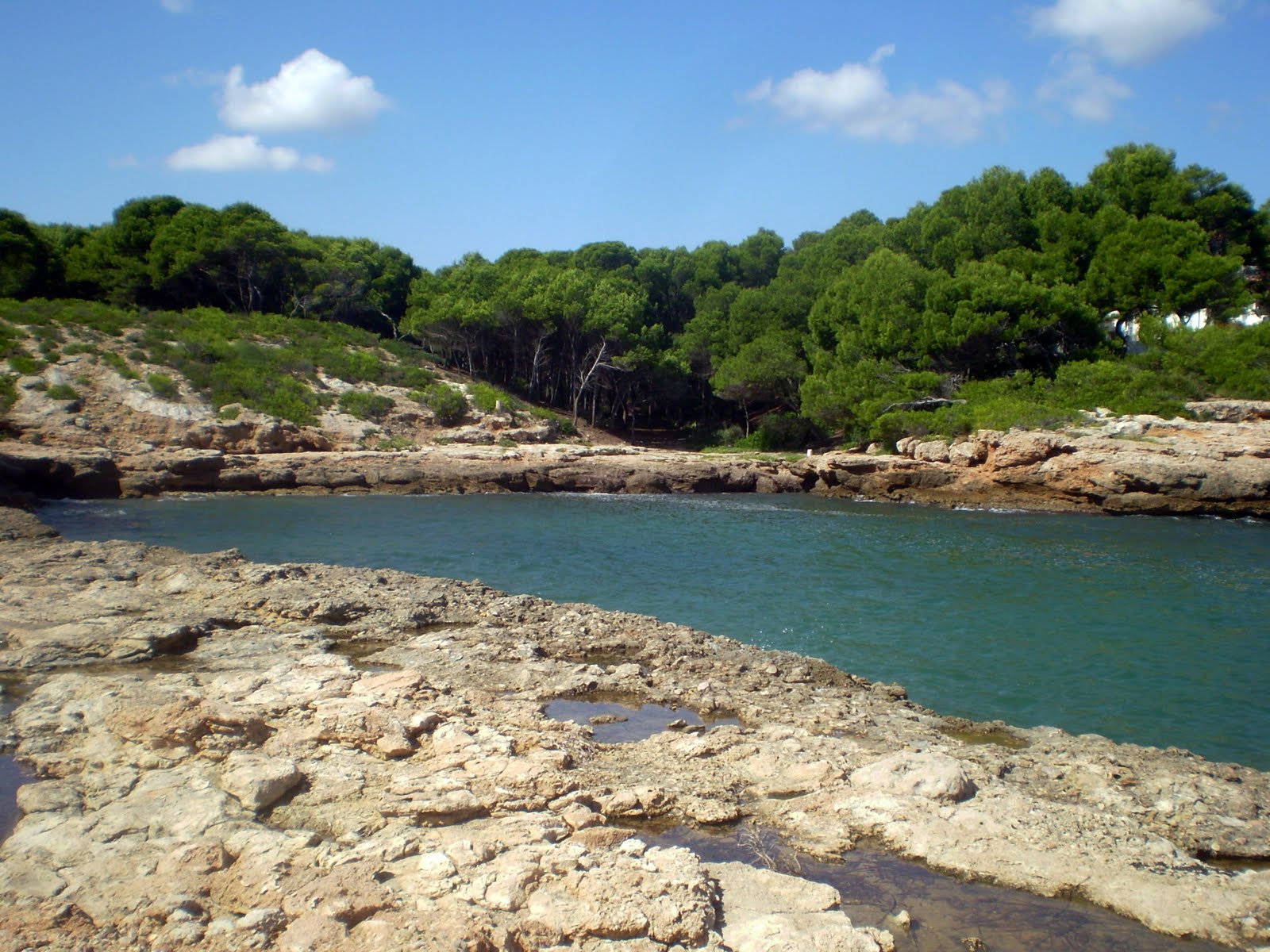 ALEGO: DEL PORT DE LA CALA AL CALAFATÓ