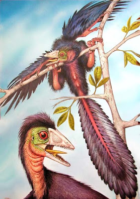 PALAEOBLOG: The 10th Skeleton of Archaeopteryx