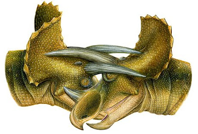 PALAEOBLOG: January 2009