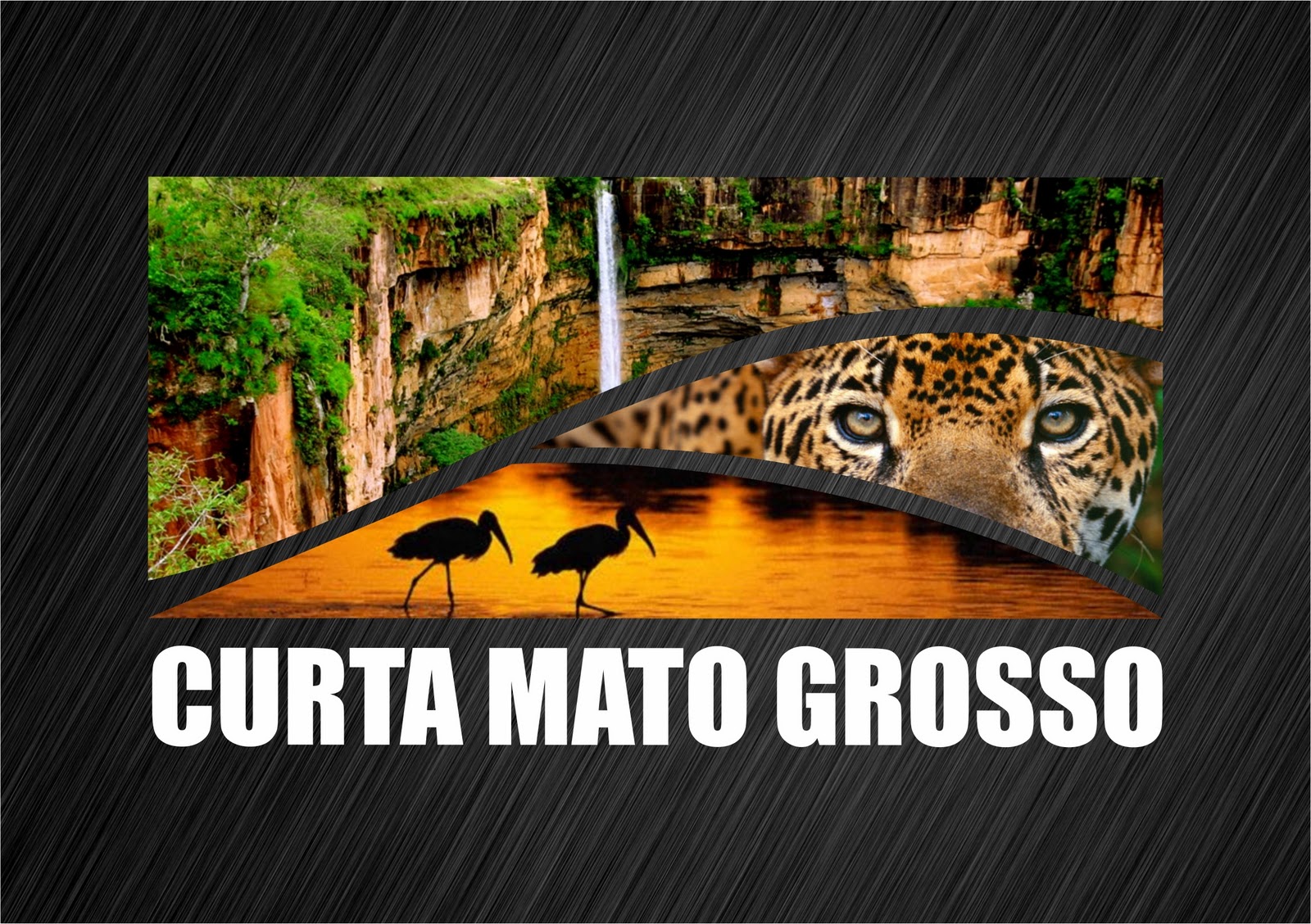 Thiago Design Gráfico: LogoMarca - Curta Mato Grosso