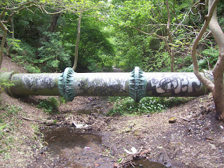 Photographs Of Newcastle: Sugley Dene