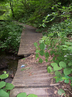 Photographs Of Newcastle: Sugley Dene