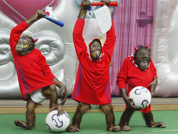 mucha mucha miel: Futbol Para Monos: La nueva propuesta que unifica al ...