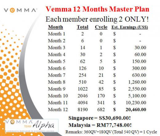 Online Vemma Business: How much I can Earn?