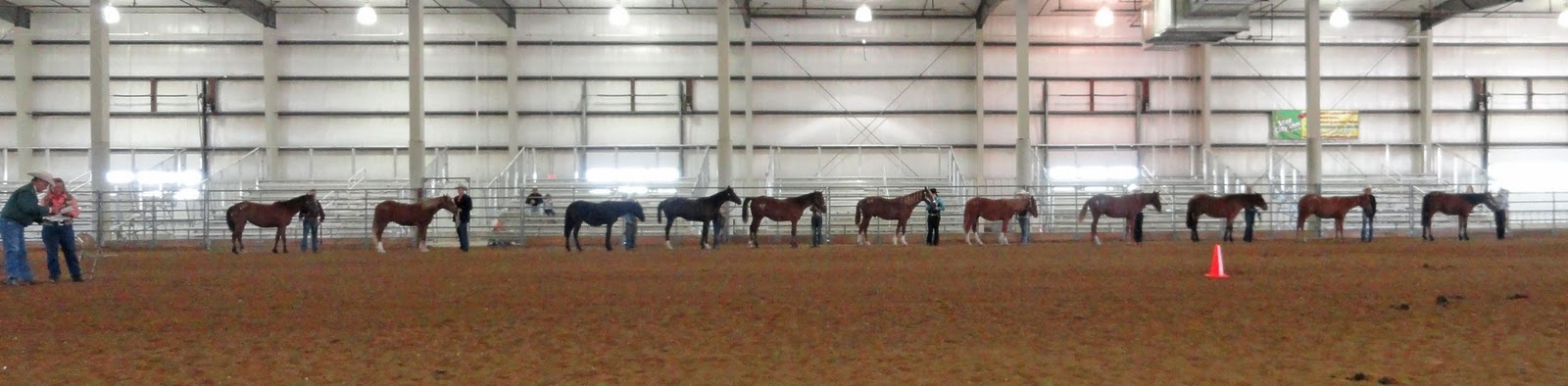 Mustang Dreams....: Home from EMM ...... Lincoln, NE