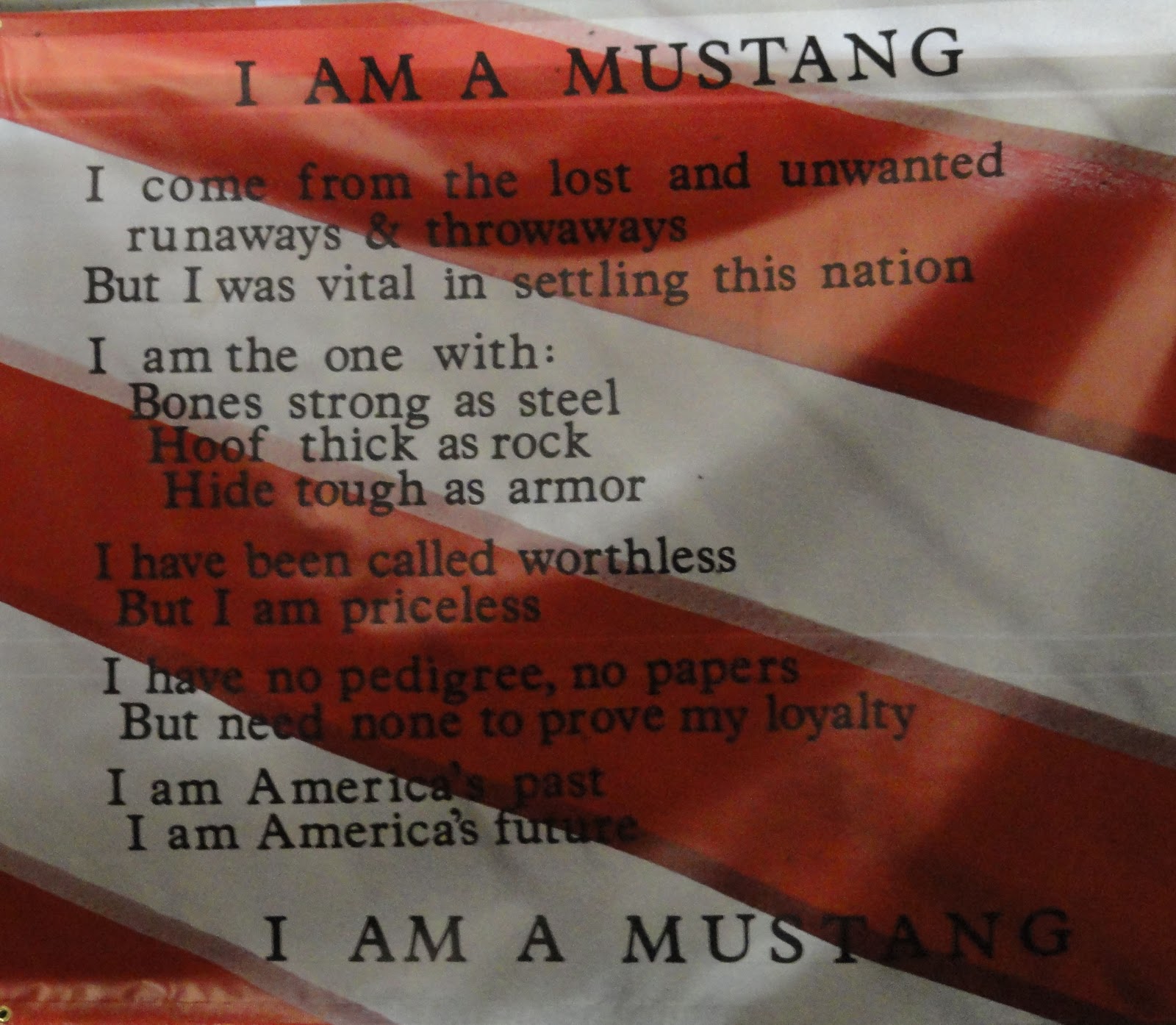 Mustang Dreams....: Tennessee Extreme Mustang Makeover.....as spectators!