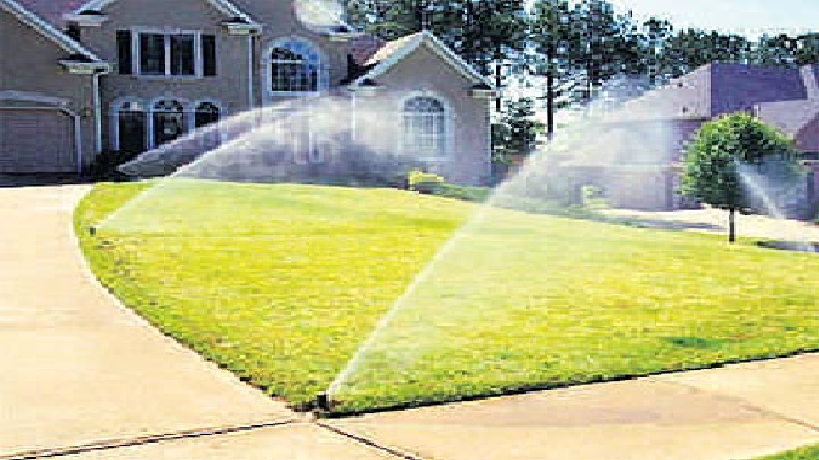 Bumi Hijau: PETUA RUMPUT HIJAU