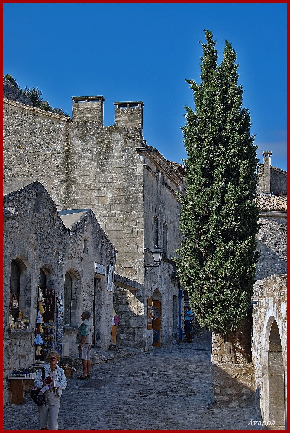 Alberi e dintorni: Storie di Alberi: il mito di Cyparissus
