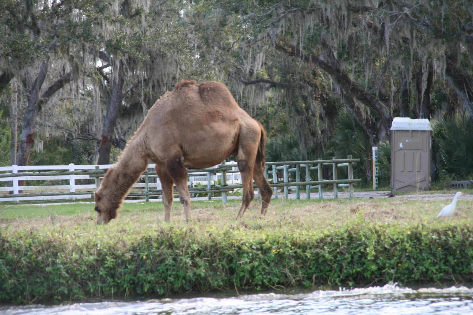 RV there yet Hank? RVing with Jim ("Hank") & Marge: W.P. Franklin Locks ...
