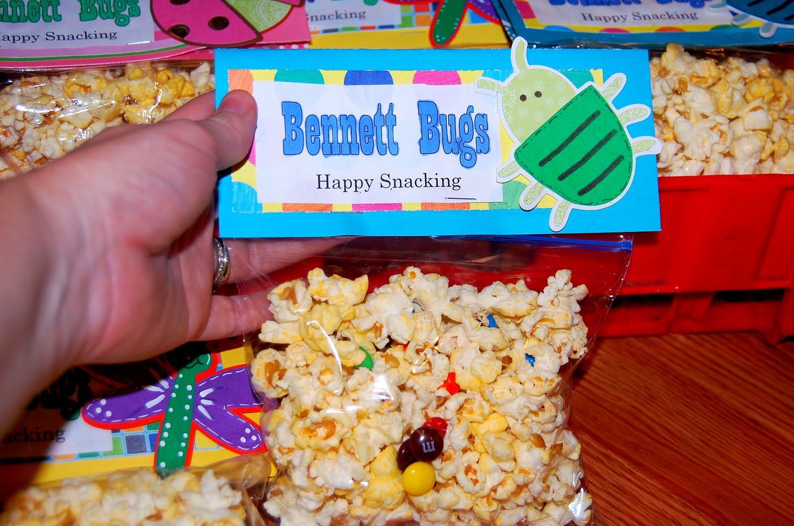Rudie Tootie: Bug Theme Snack Bags