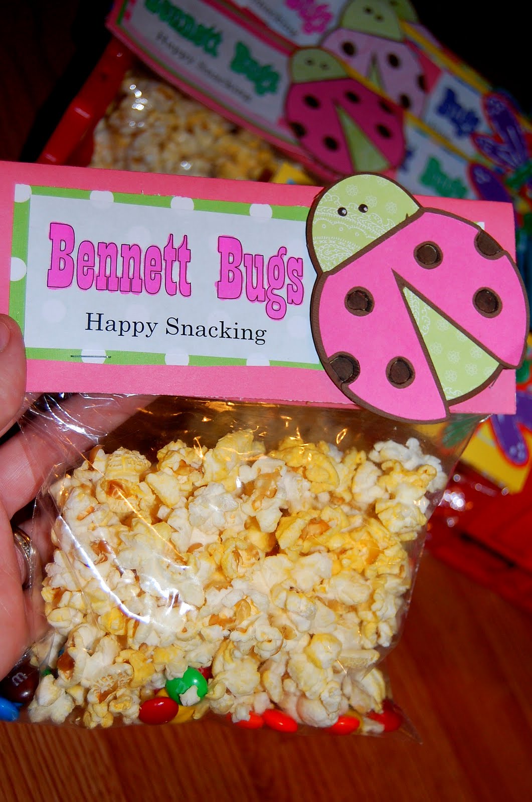 Rudie Tootie: Bug Theme Snack Bags