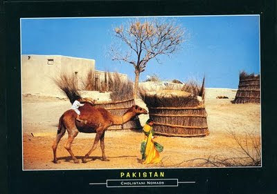 WELCOME TO MY WORLD: Cholistan (Rohi): Part of Great Desert Called ...