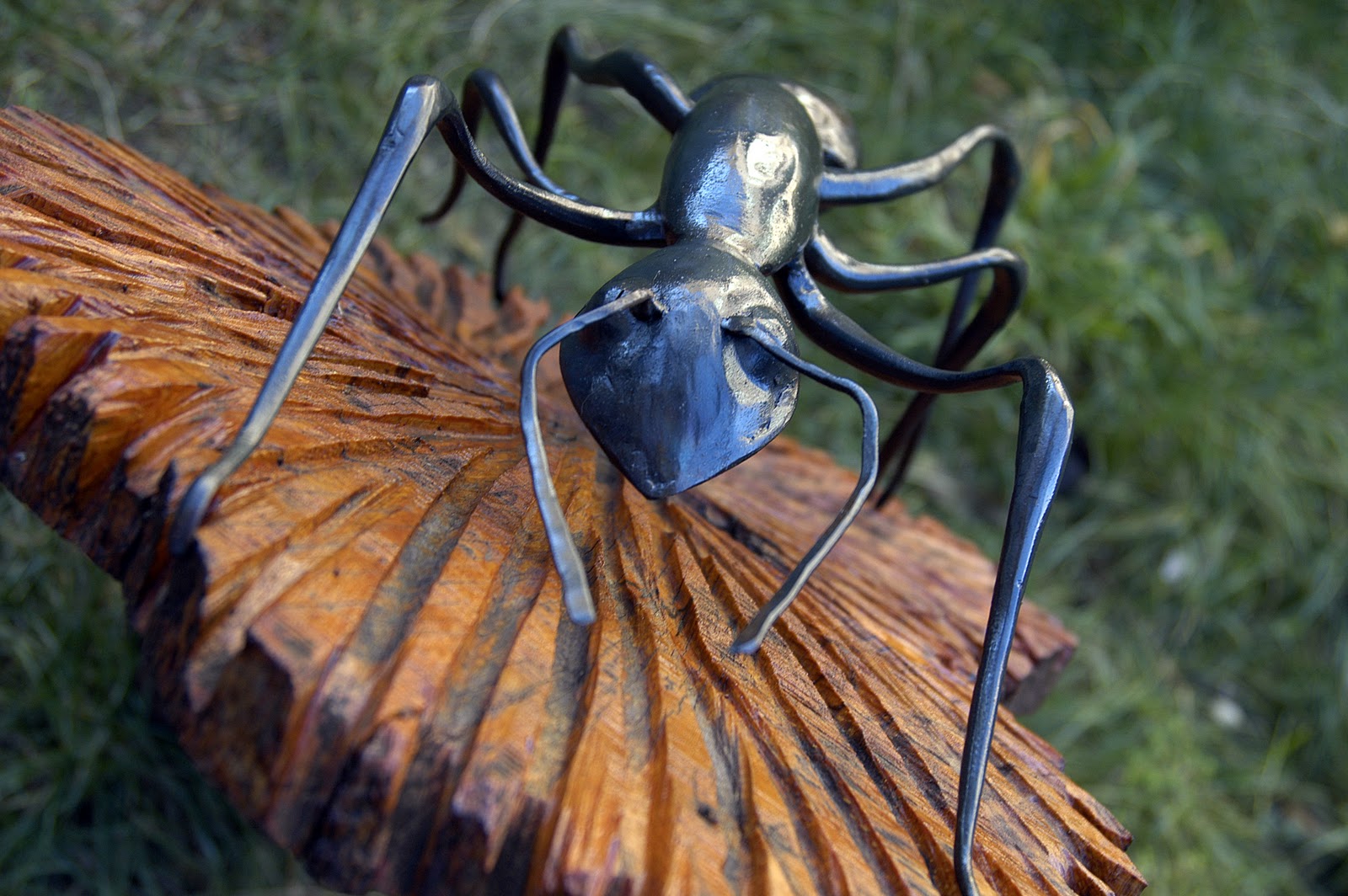 Pierre Jordan. Paquito: La fourmi... sans la cigale