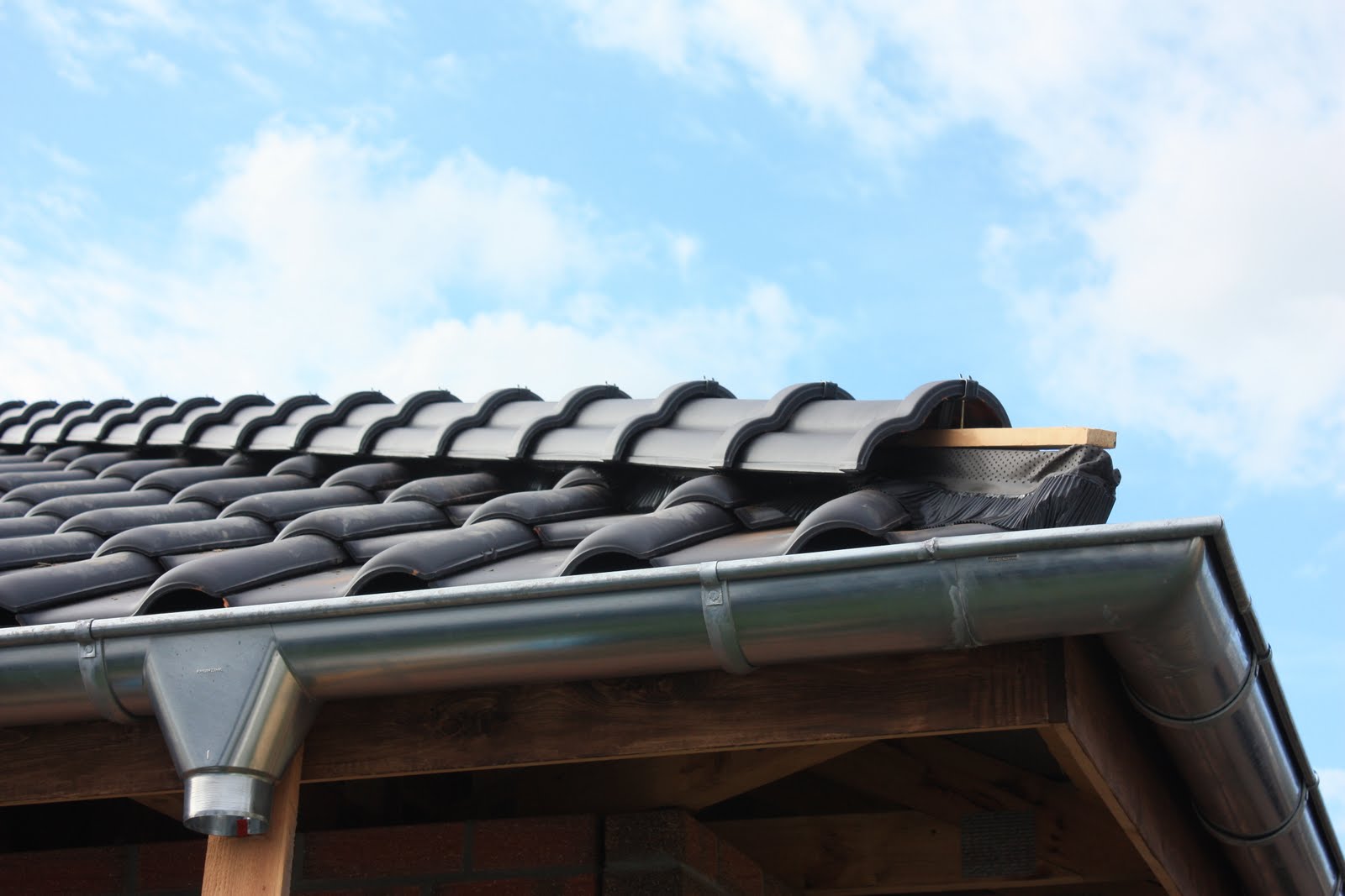 das Leben läuft: Dachfirst und...