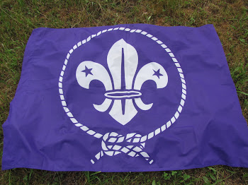 GRUPO SCOUT P I R I N E O S 4 4 0: ¿Por qué un campamento Scout?