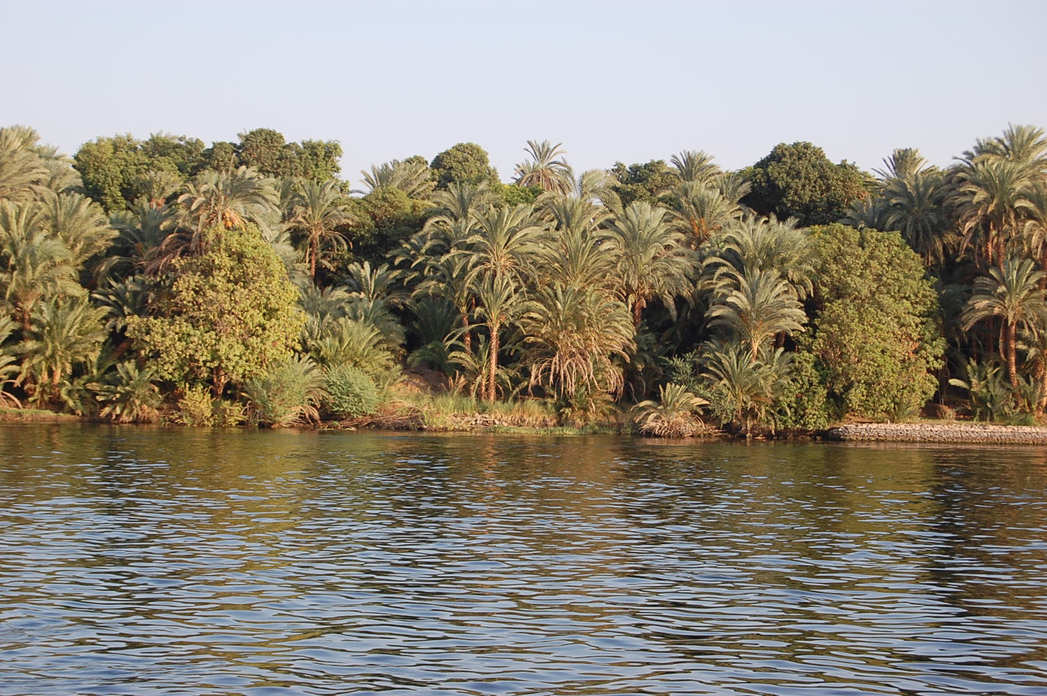 DE AQUI DE ALLA Y DE LA MUSICA TAMBIEN: NAVEGAR POR EL NILO